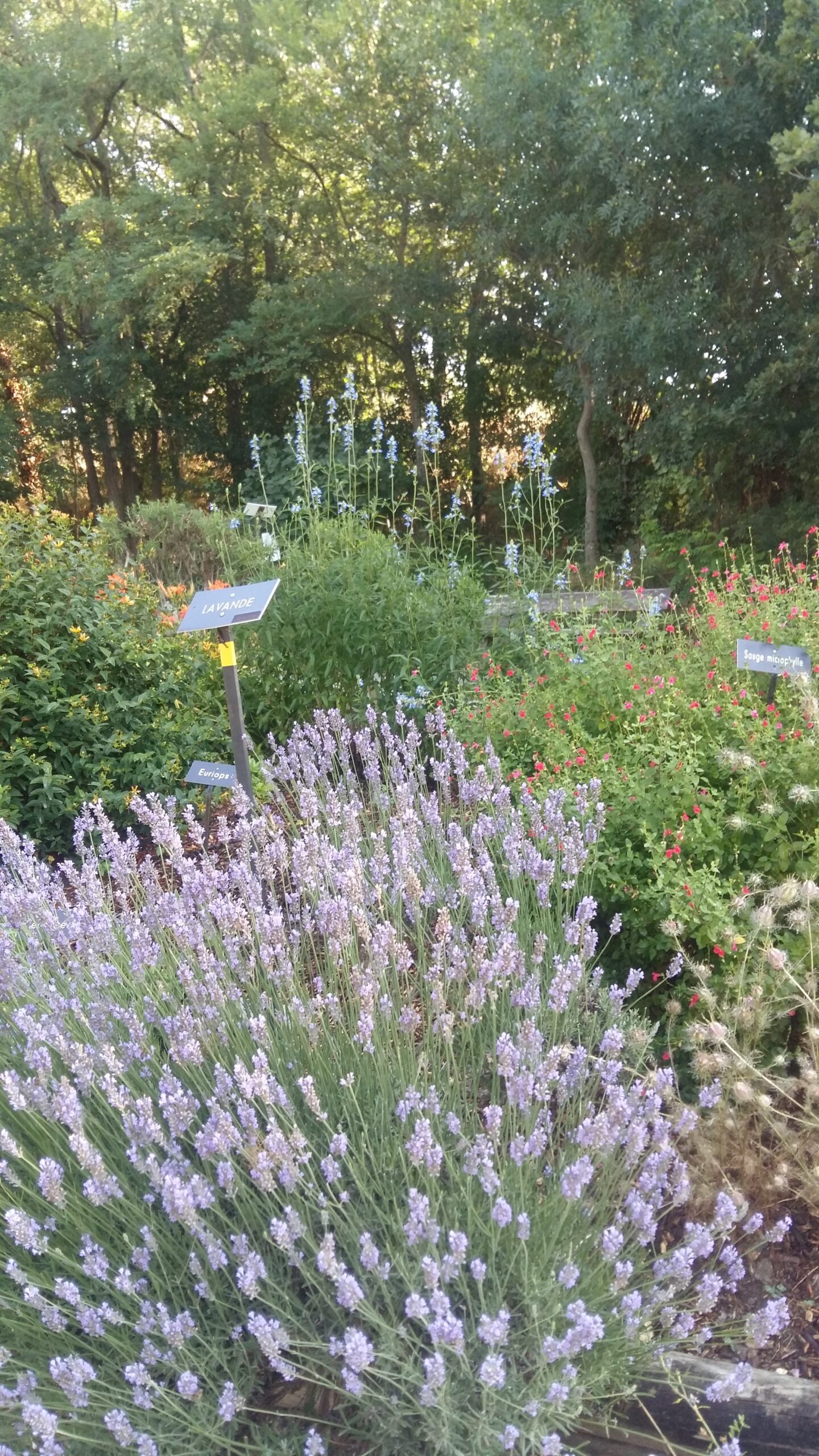 Parcs, aires de jeux et de loisirs - Ville de Ramonville